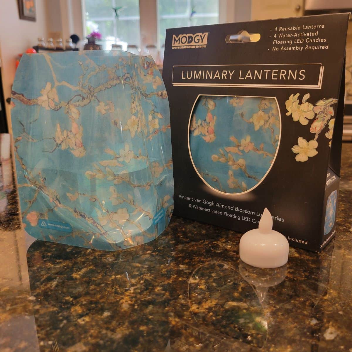 Illuminate Your Space with Luminarie Lanterns - Carolinas Wild Thangs