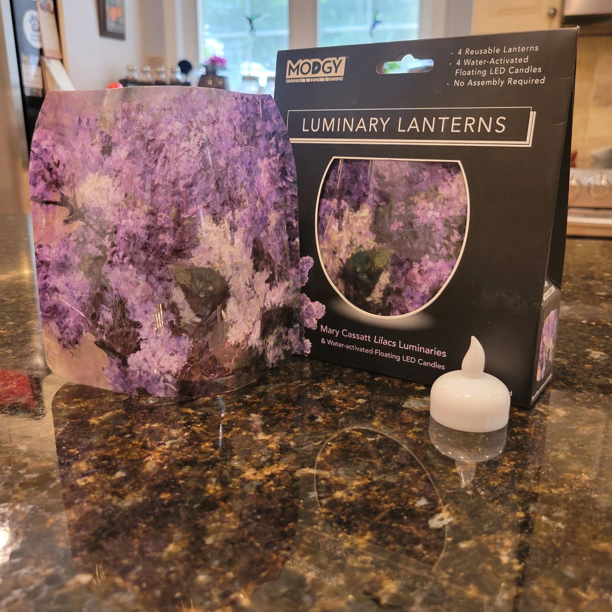 Illuminate Your Space with Luminarie Lanterns - Carolinas Wild Thangs